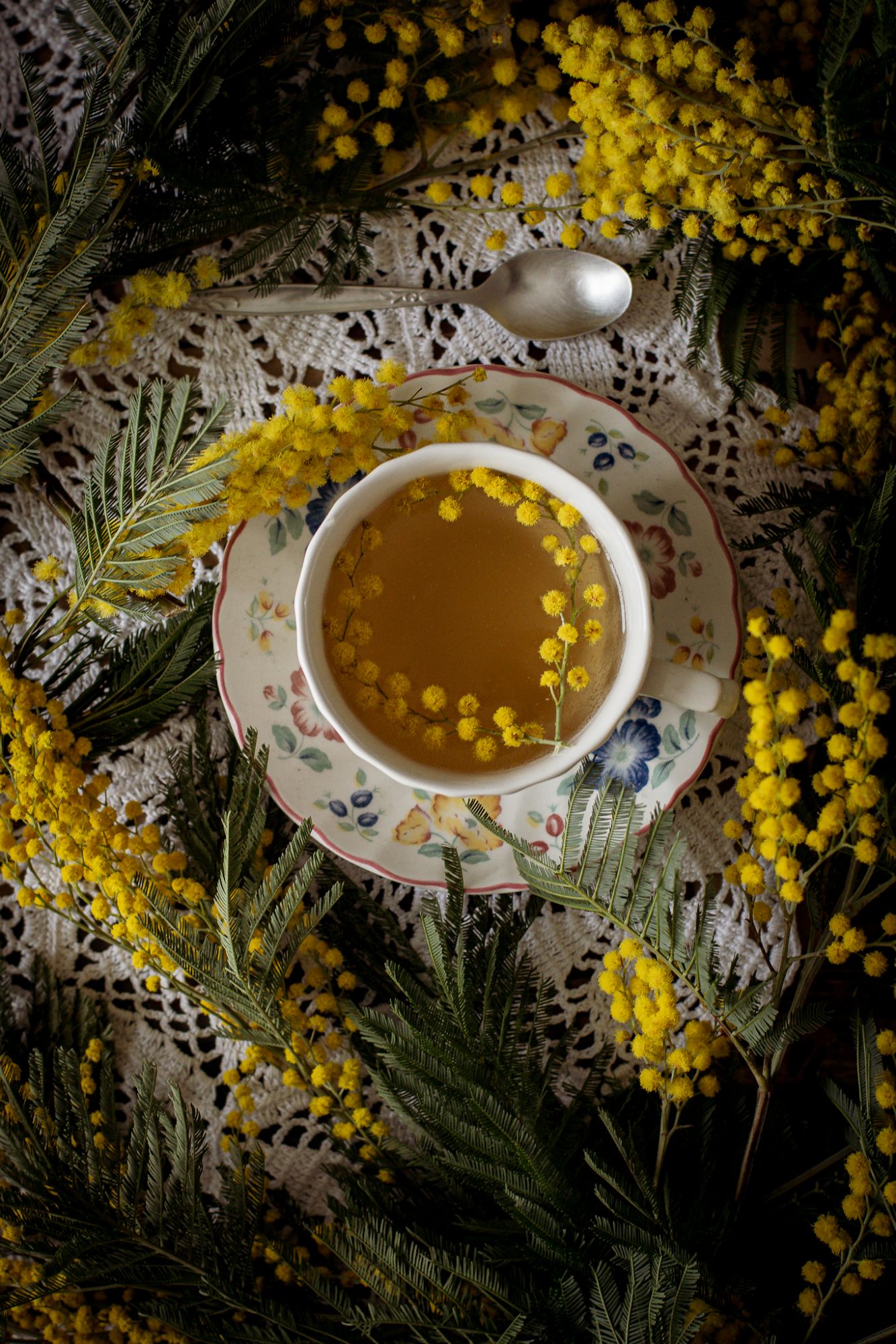 How to Make Mimosa Tea - scraps & coffee grounds